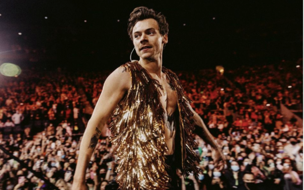 Harry Styles, la gran estrella de los años 20s - Xplora Música